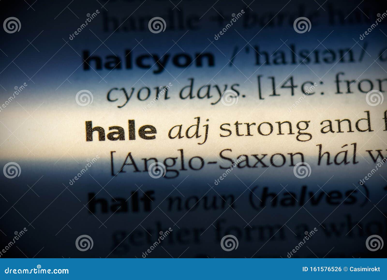 Hale stock photo. Image of close, dictionary, english - 161576526