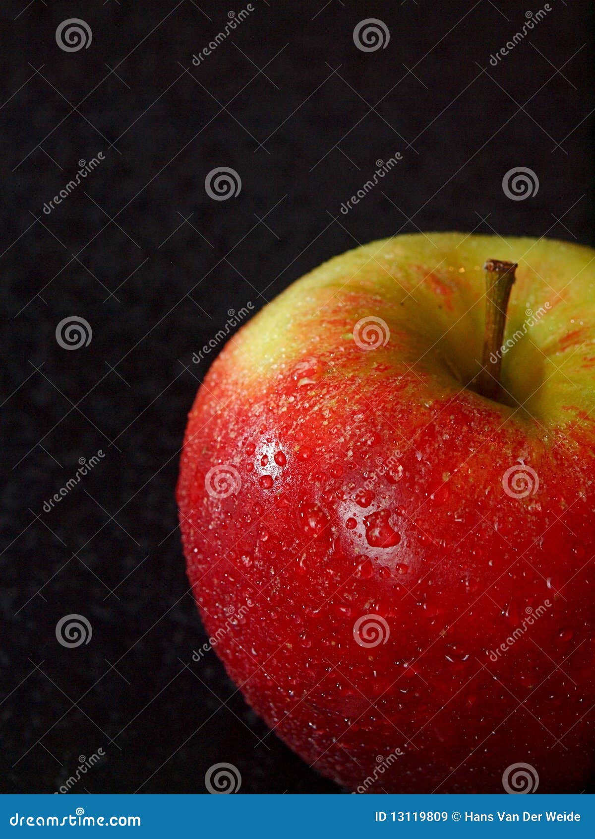 Half an apple stock image. Image of ripe, lunch, stalk - 13119809