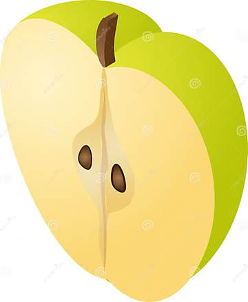 Half apple stock vector. Illustration of flesh, sliced - 2922351