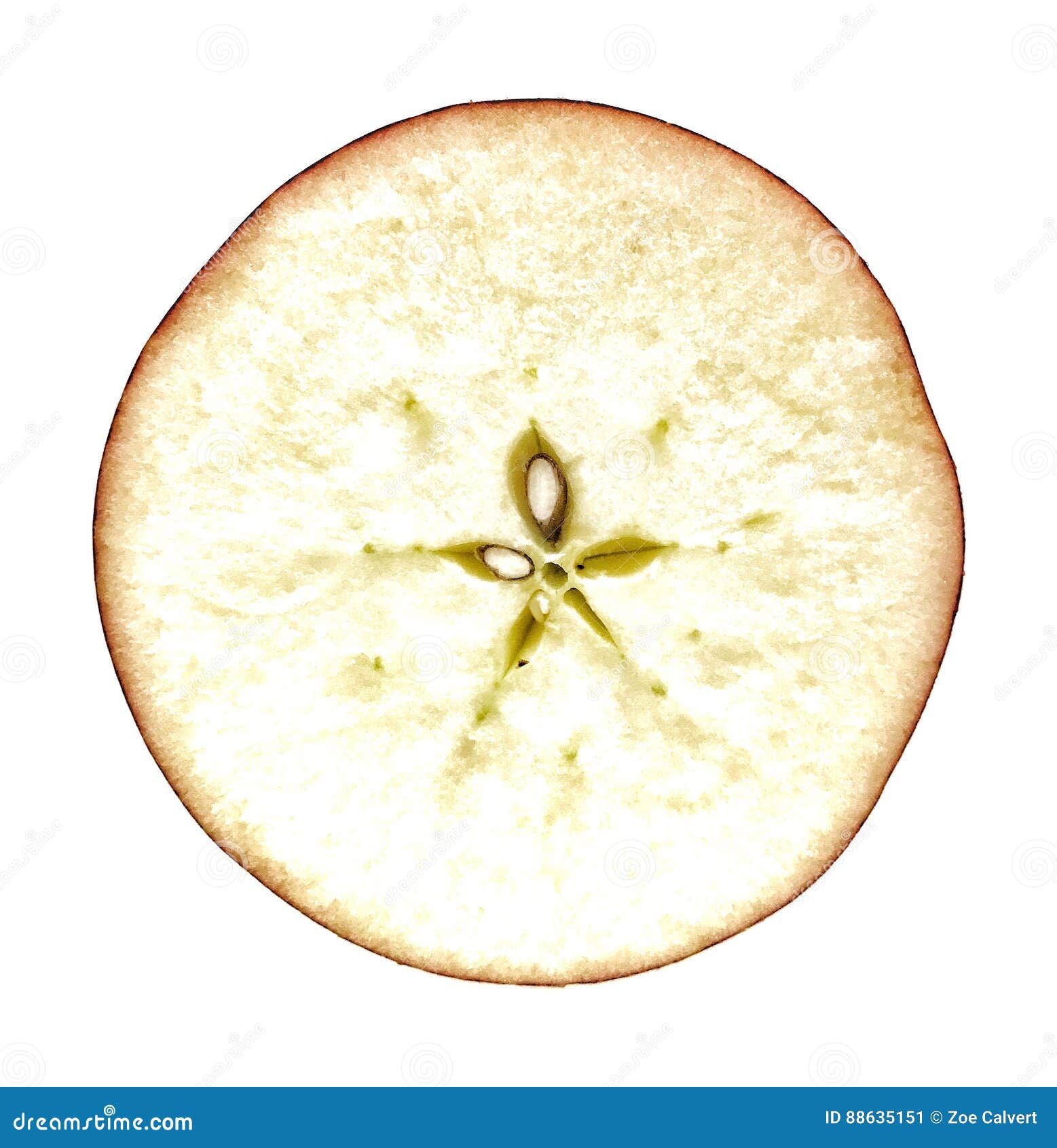 Half an Apple stock image. Image of fruit, healthy, food - 88635151