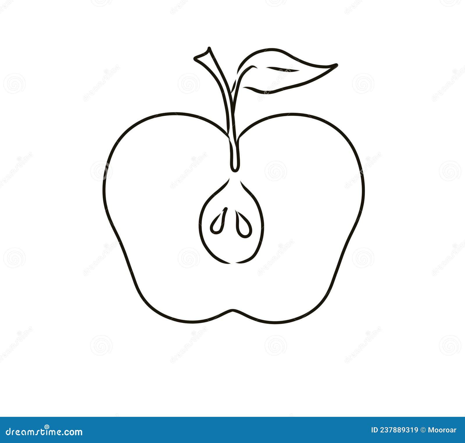 Half of Apple.Drawing Line Art. Simple Drawn Vegetable in Cut. Food ...