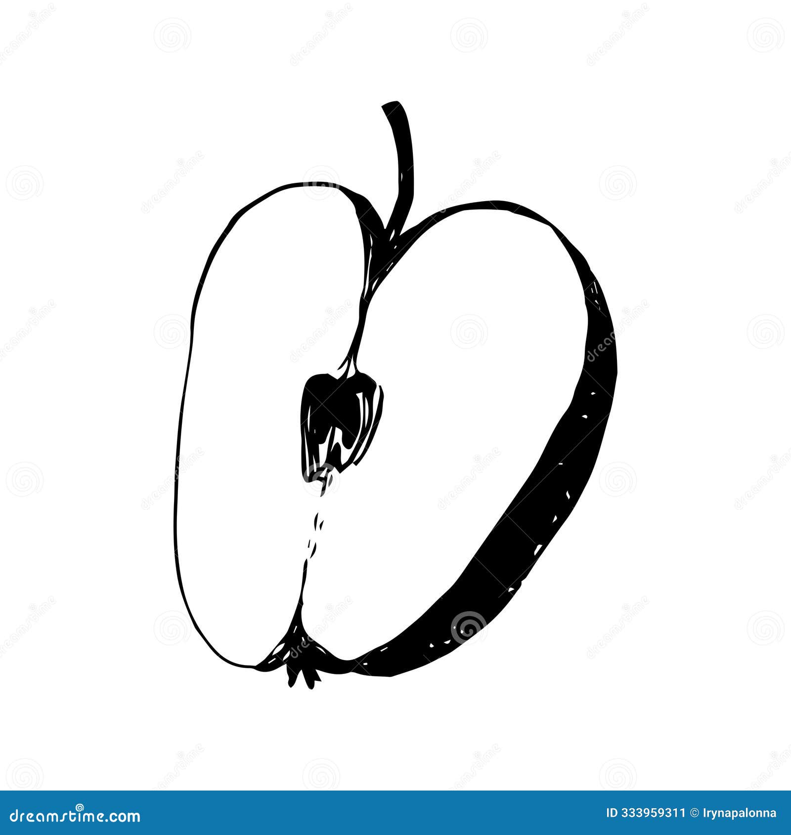 Half an Apple Hand Drawn Illustration, Sketch Style, Simple Drawing ...