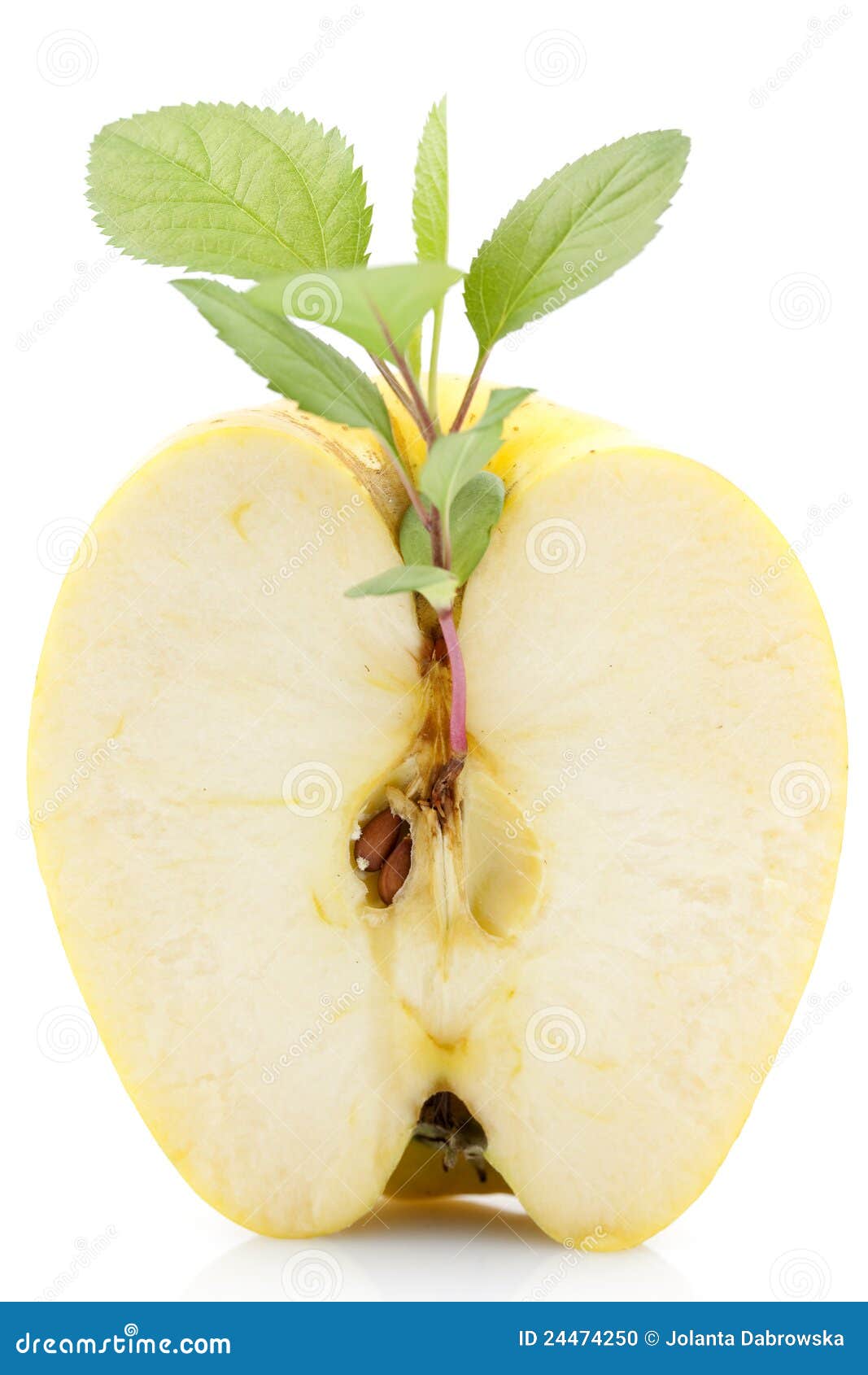 Half apples stock photo. Image of young, macro, apple - 24474250