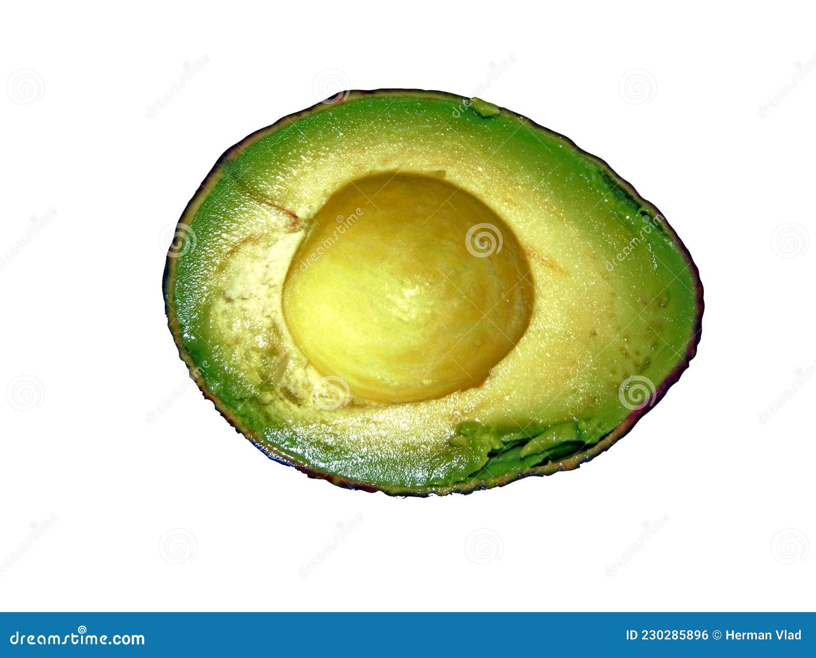 Half an Avocado Isolated on White Stock Photo - Image of fruits, white ...