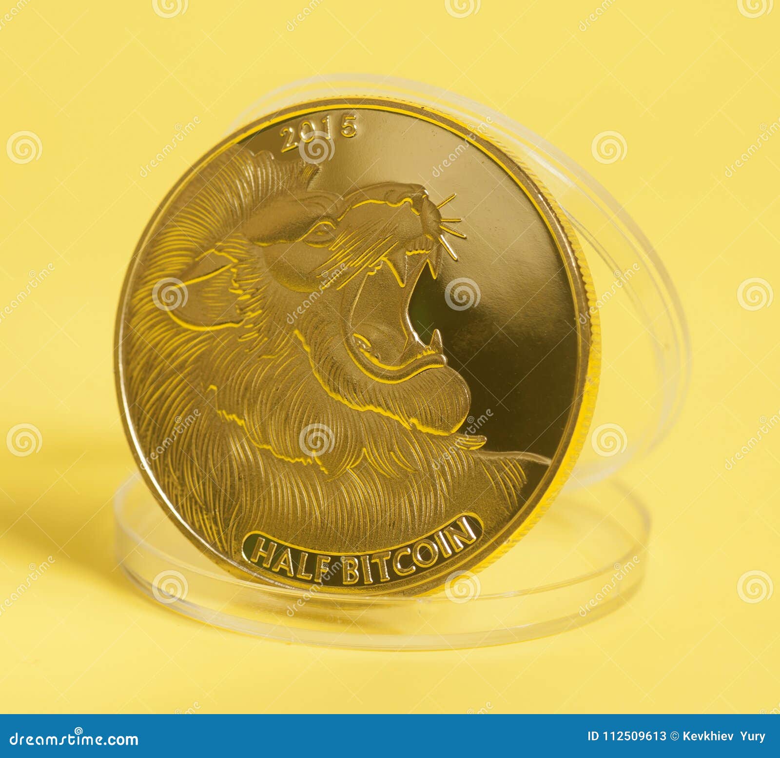Half bitcoin with lion stock image. Image of imarket - 112509613