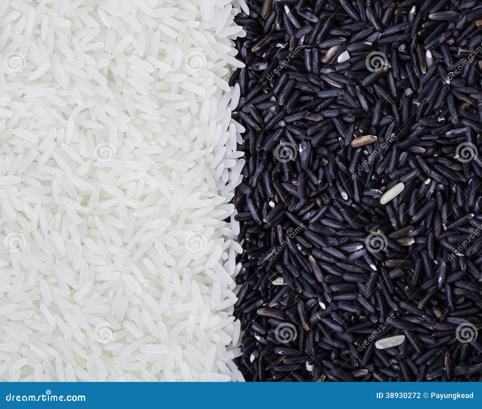 Half Black and Half White Rice Grain Stock Photo - Image of nutrition ...