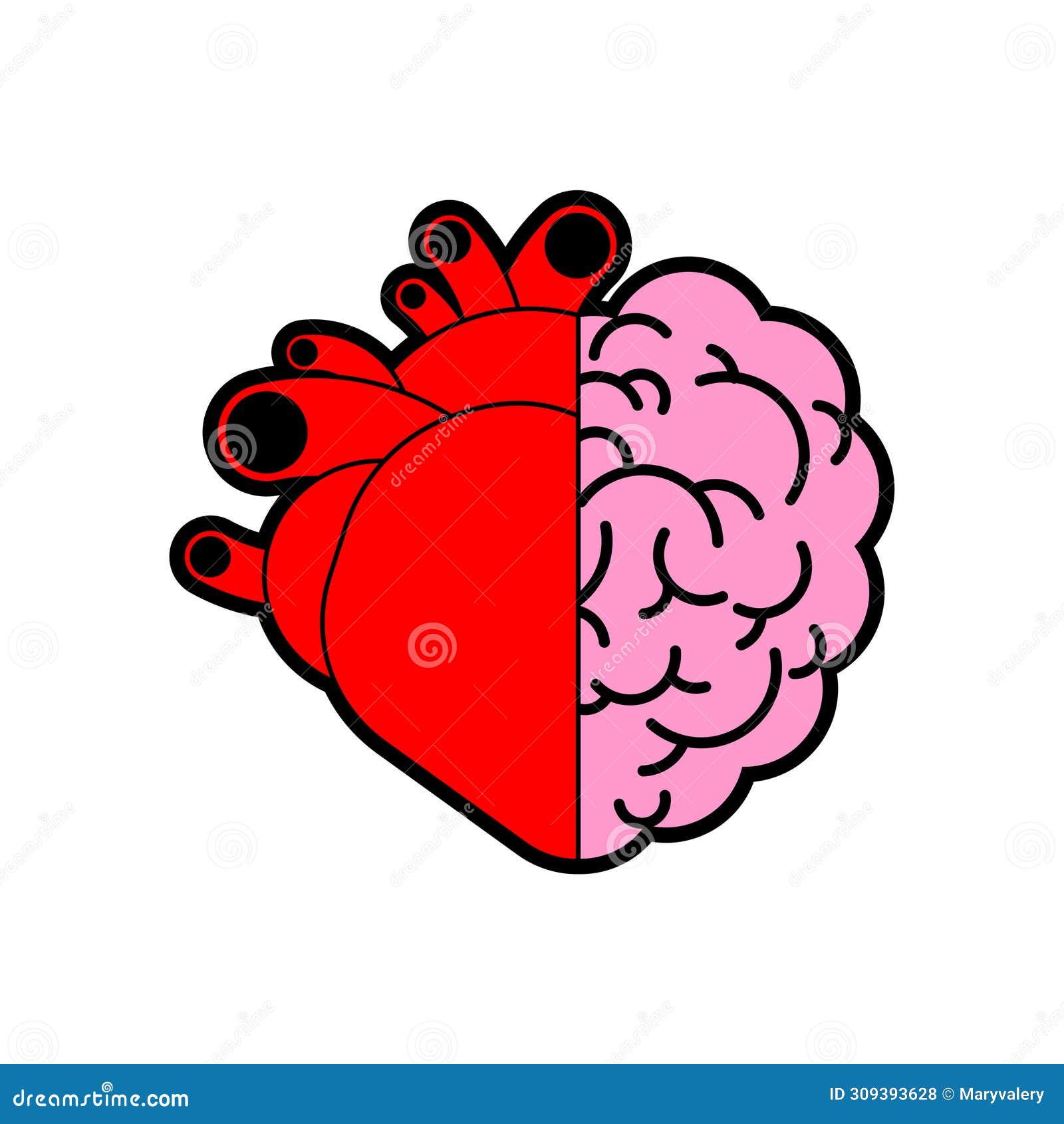 Half Brain and Half Heart. Combine Feelings and Reason Stock Vector ...