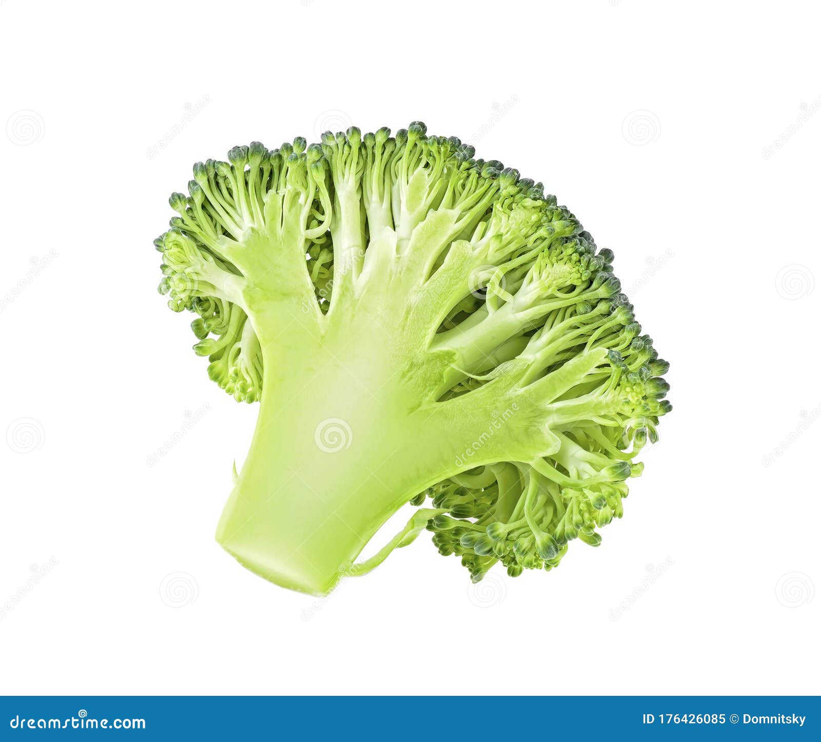 Half of Broccoli Isolated on White Background Stock Image - Image of ...