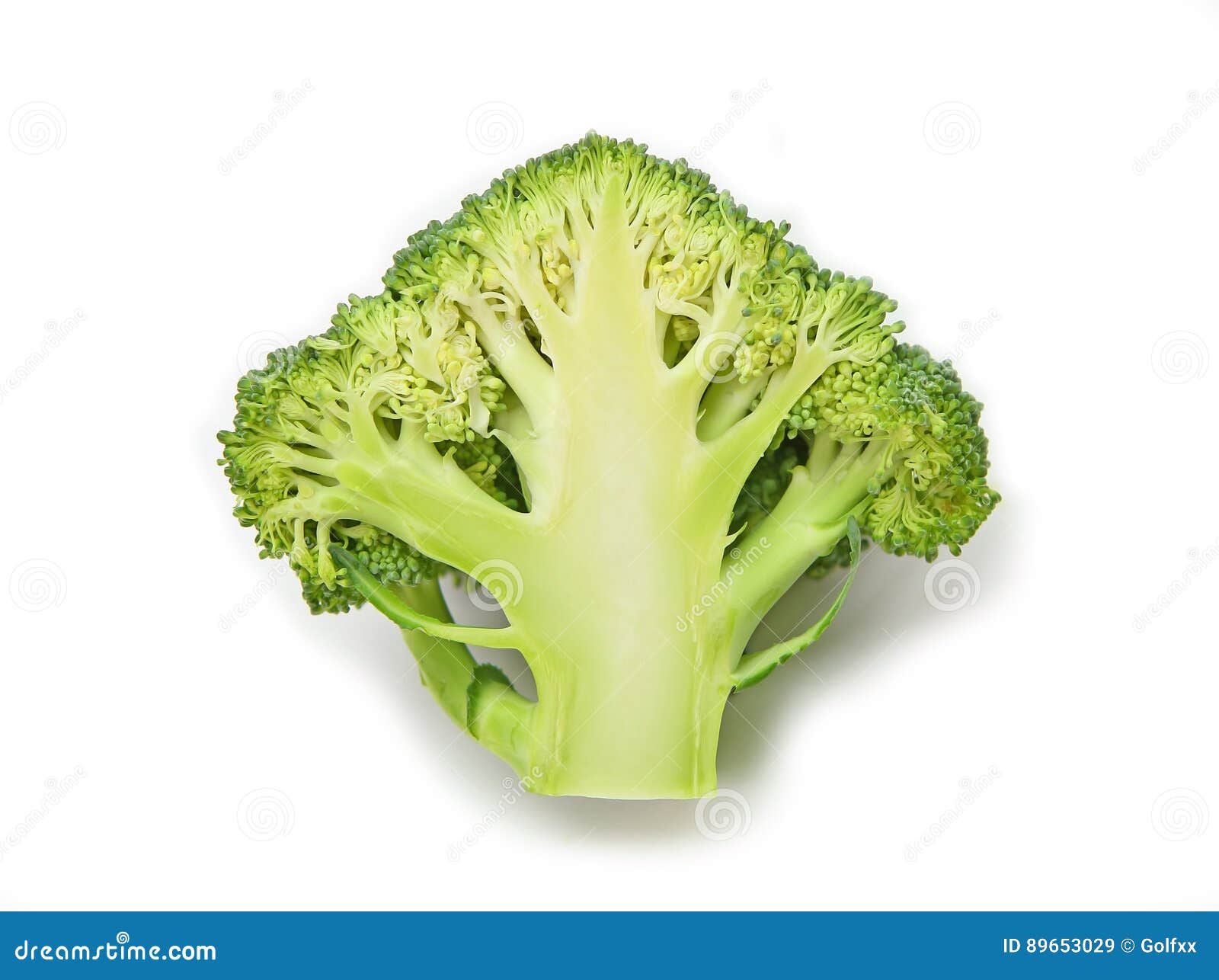 Half of Broccoli vegetable stock image. Image of brocoli - 89653029
