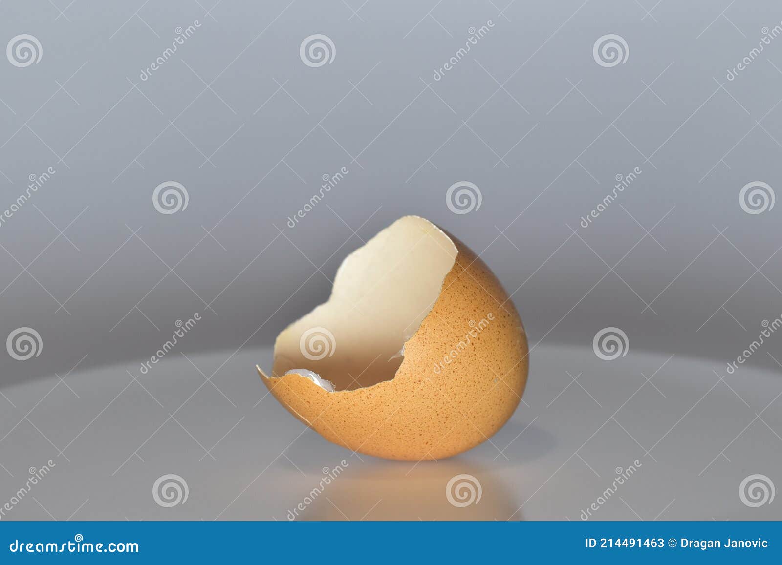 Broken egg shell stock image. Image of broken, empty - 214491463