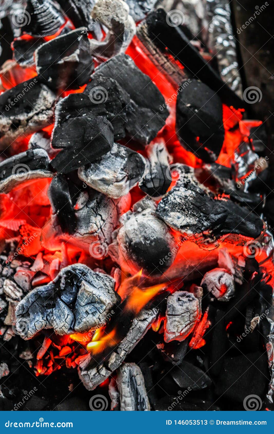 Half Burned Wood Log On Concrete Floor Royalty-Free Stock Photo ...