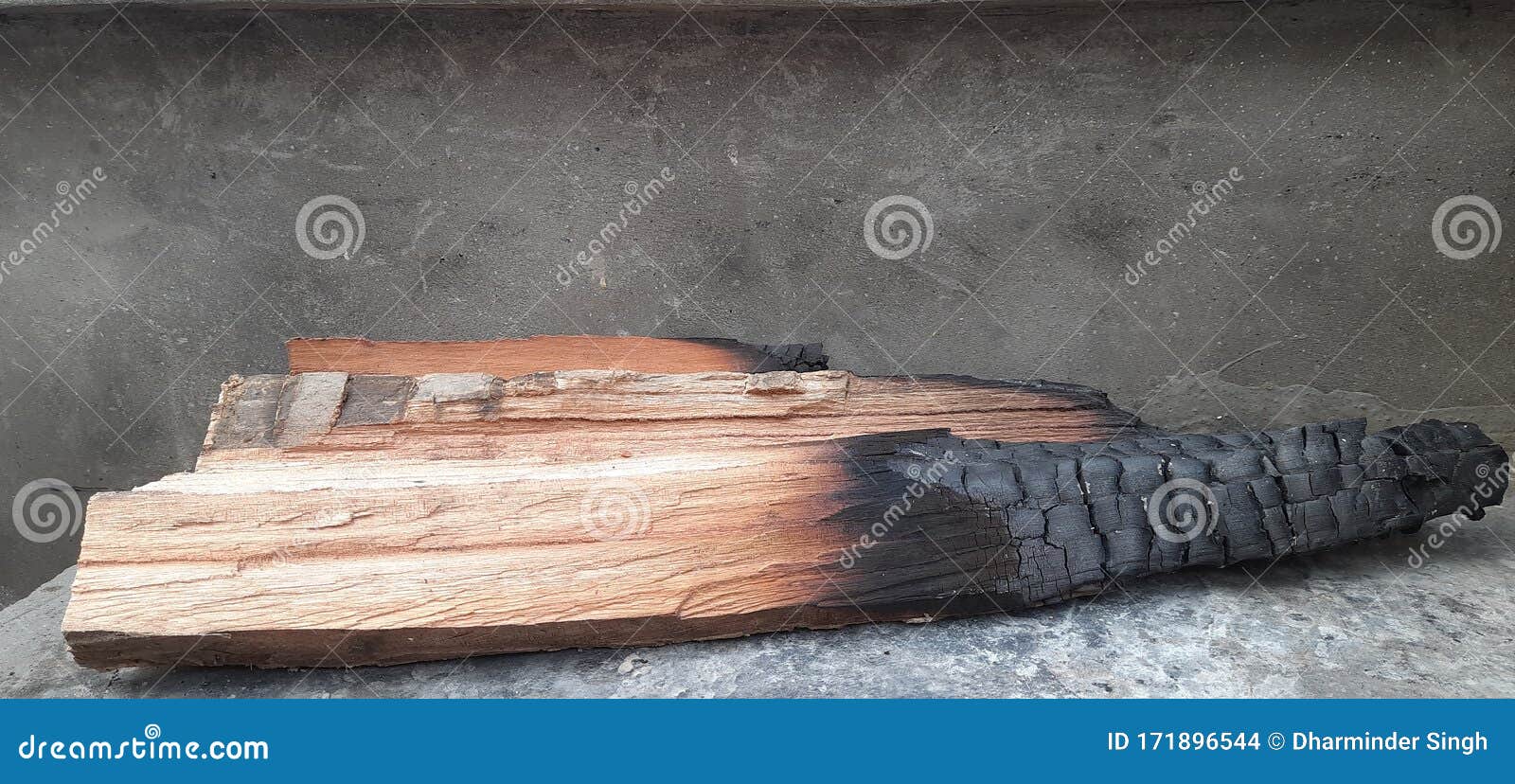 Half Burned Melia Azedarach Tree Wood Log Stock Photo - Image of wood ...