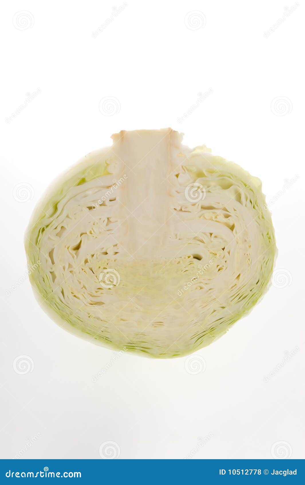 Half of cabbage stock photo. Image of cabbage, cole, vegetarianism ...