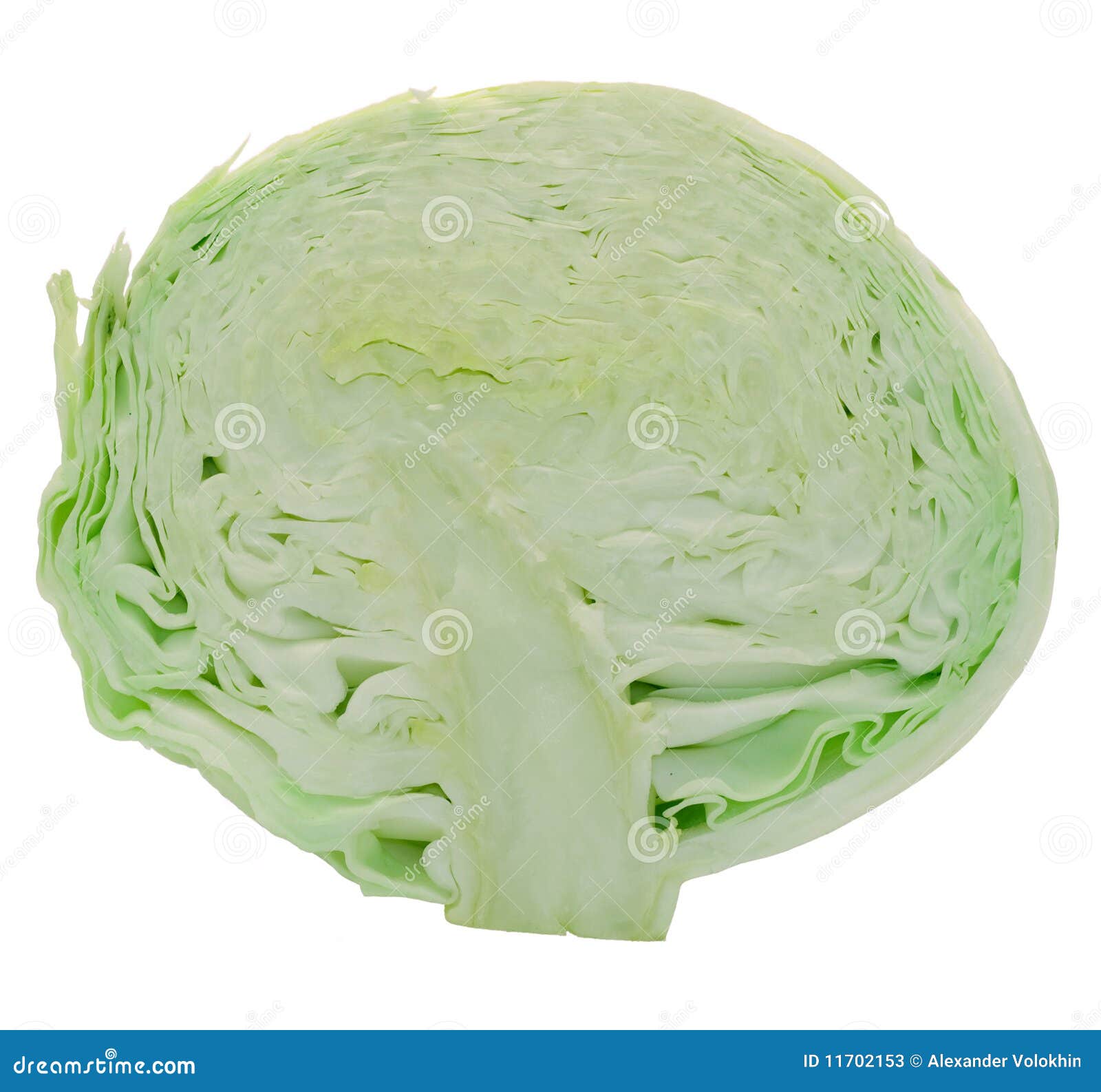 Half of a cabbage stock image. Image of macro, refreshment - 11702153