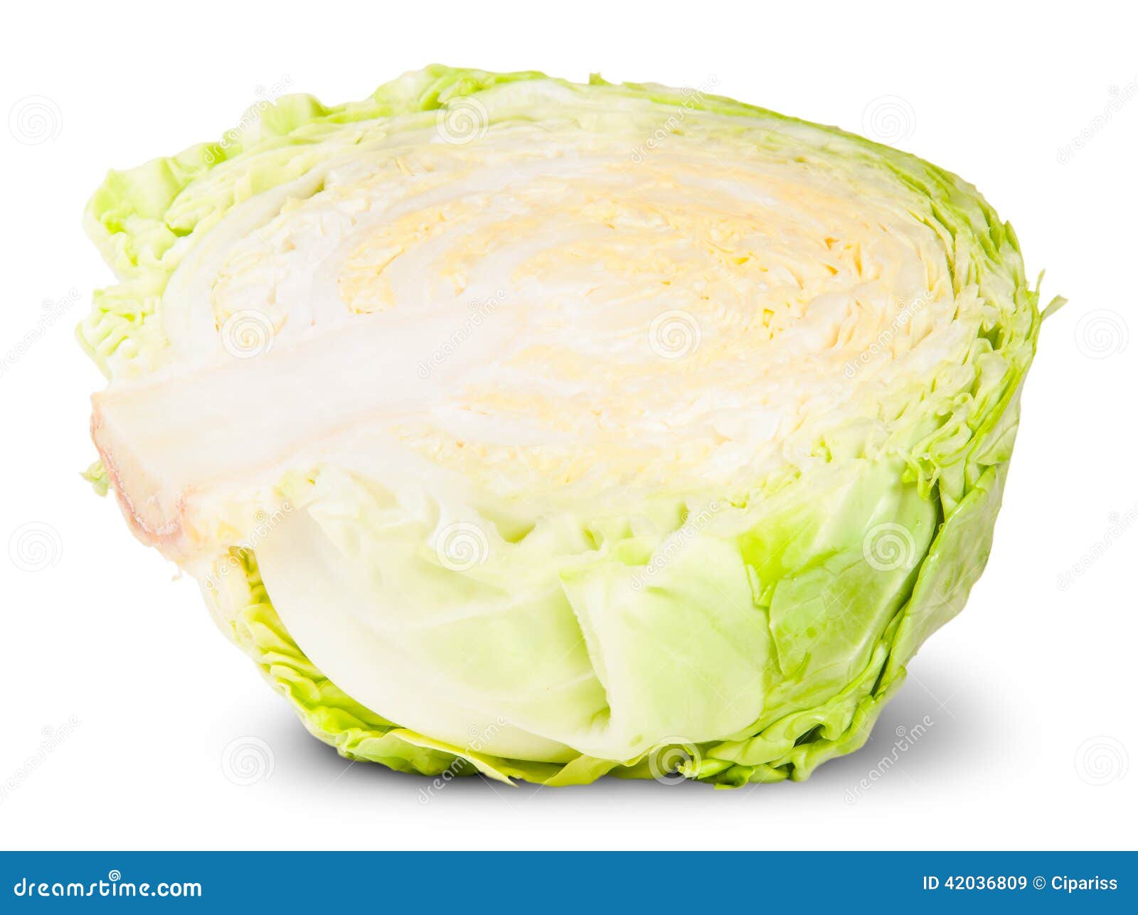 Half of Cabbage stock image. Image of fruit, culinary - 42036809