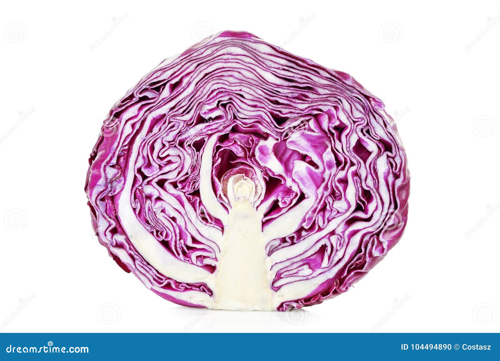 Half a cabbage stock photo. Image of cabbage, round - 104494890