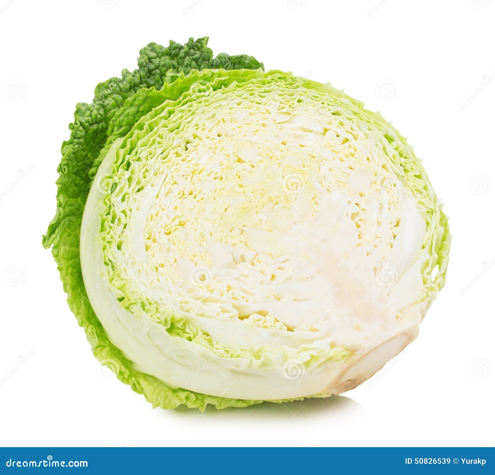 Half of Cabbage on the White Background Stock Image - Image of salad ...