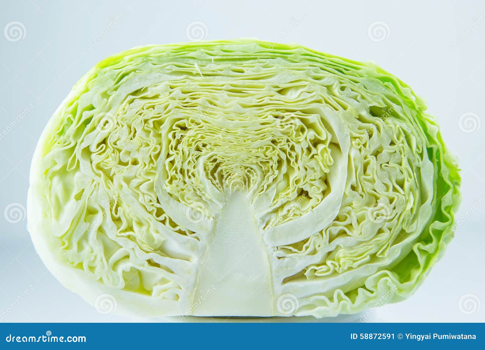 Half cabbage stock image. Image of kale, blackground - 58872591