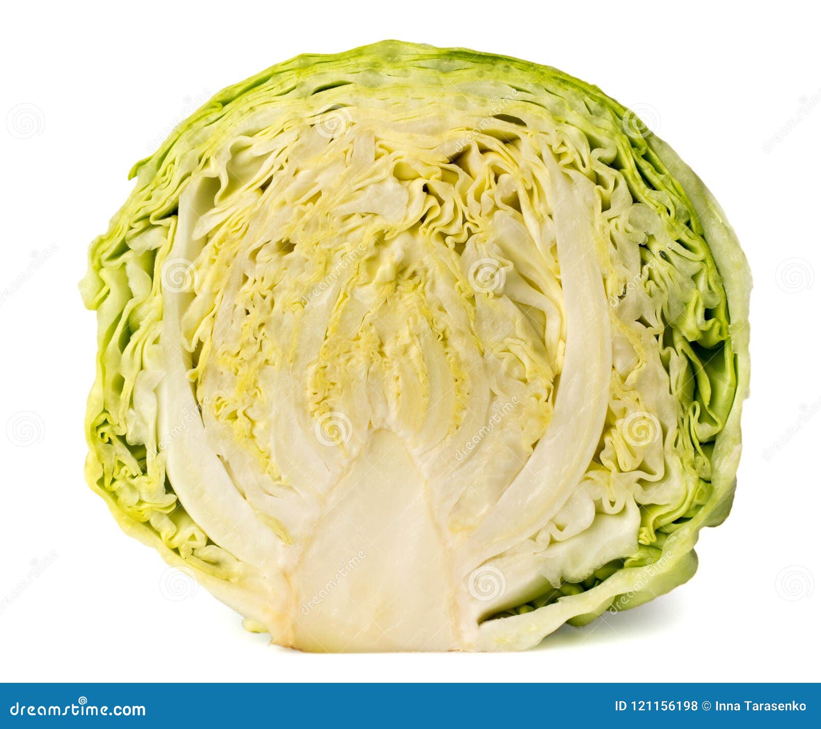 Half of the Cabbage on a White, Isolated. Stock Photo - Image of white ...