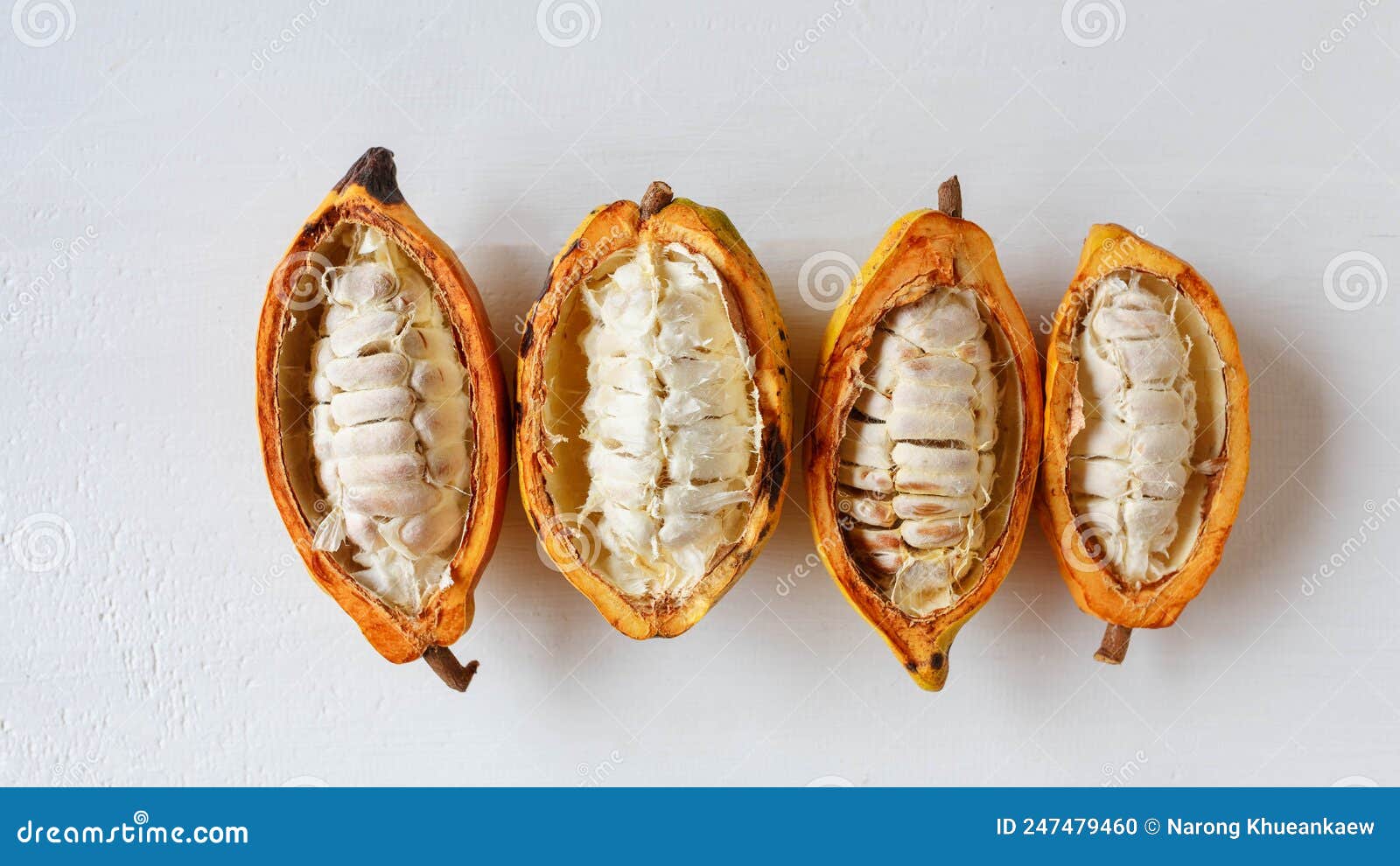 Half Cacao Pods with Cocoa Fruit on White Wooden Table Stock Photo ...