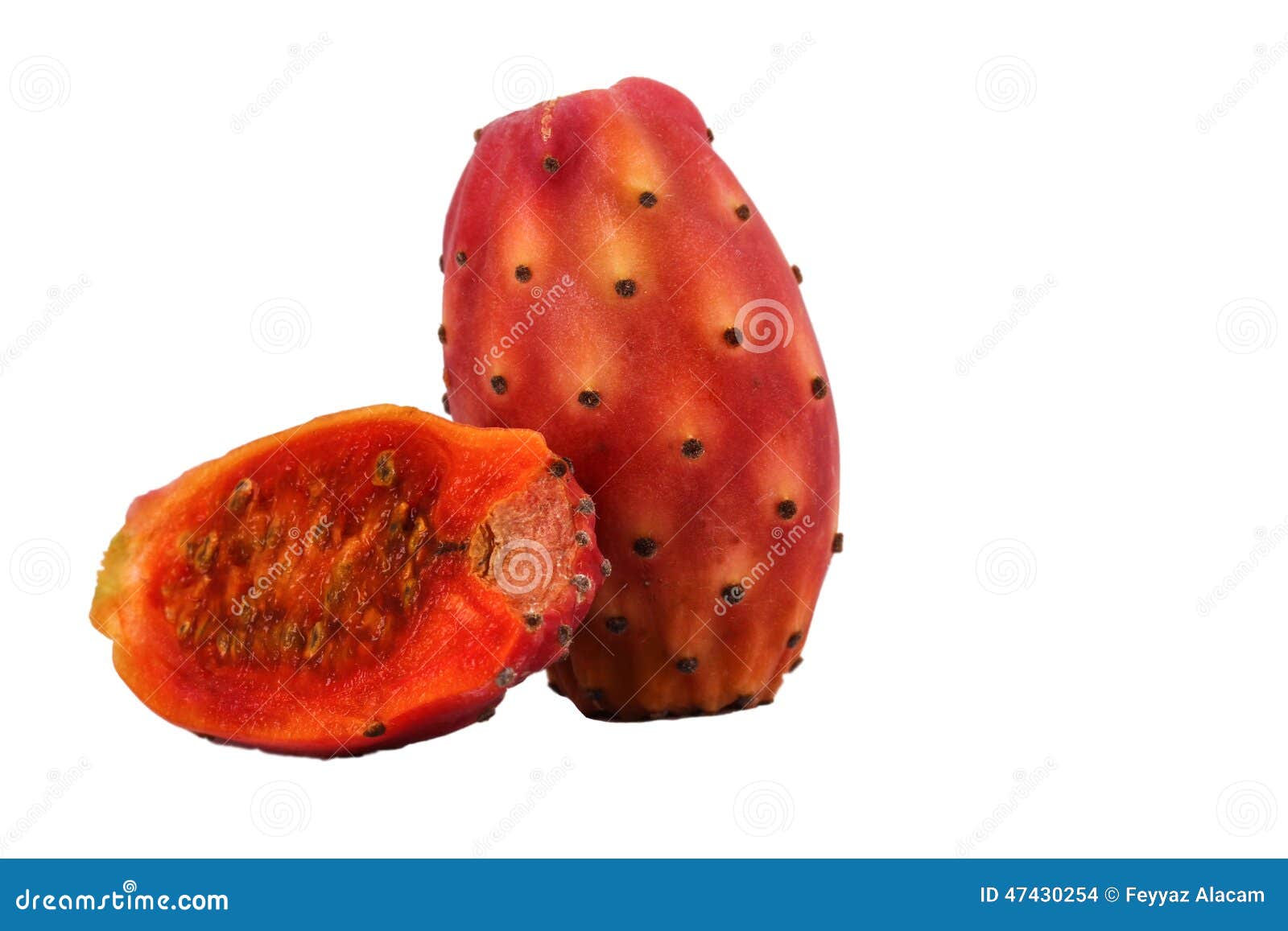 816 Cactus Nopal White Background Photos - Free & Royalty-Free Stock ...