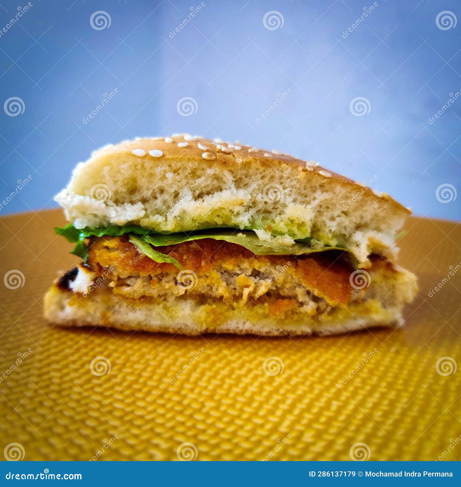Half Chicken Burger on a Plate Stock Image - Image of chicken, plate ...