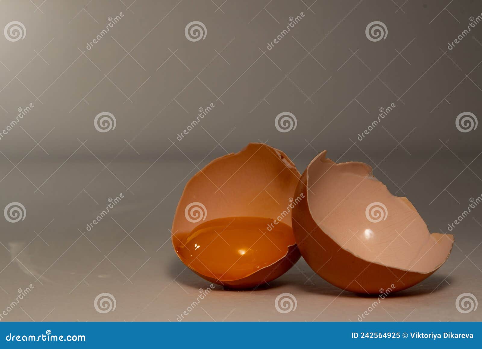 Half of a Chicken Egg Shell with Yolk and an Empty Half. Stock Image ...