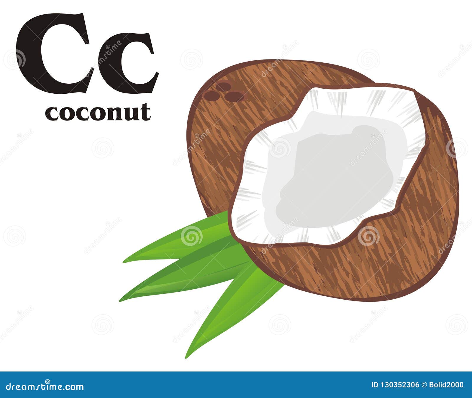 Coconut And Abc Stock Photography | CartoonDealer.com #130352306