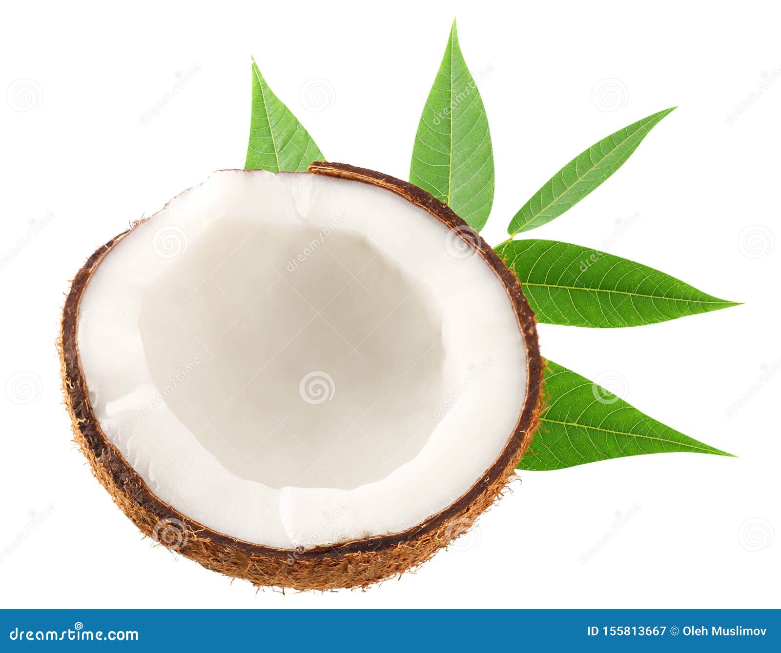 Half of Coconut with Green Leaves Isolated on White Background Stock ...