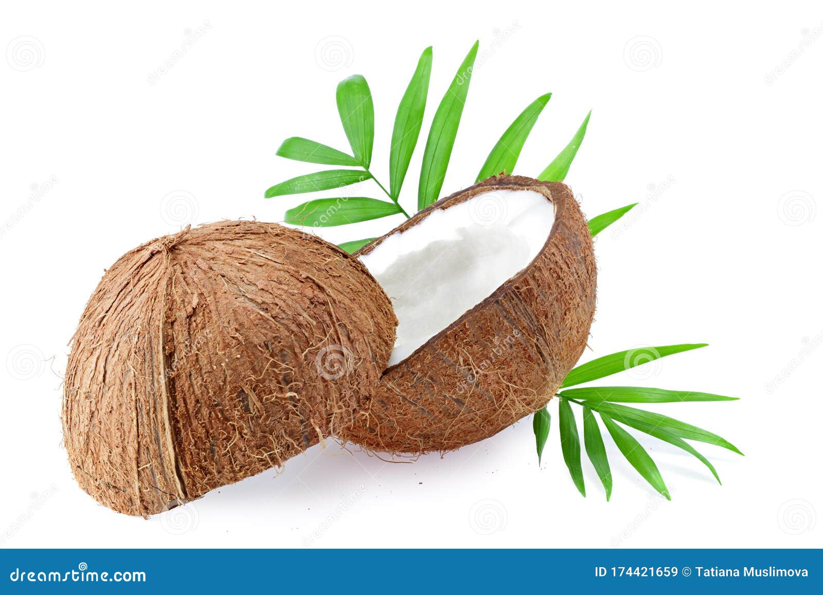 Half Coconut with Green Leaves Isolated on White Background Stock Image ...