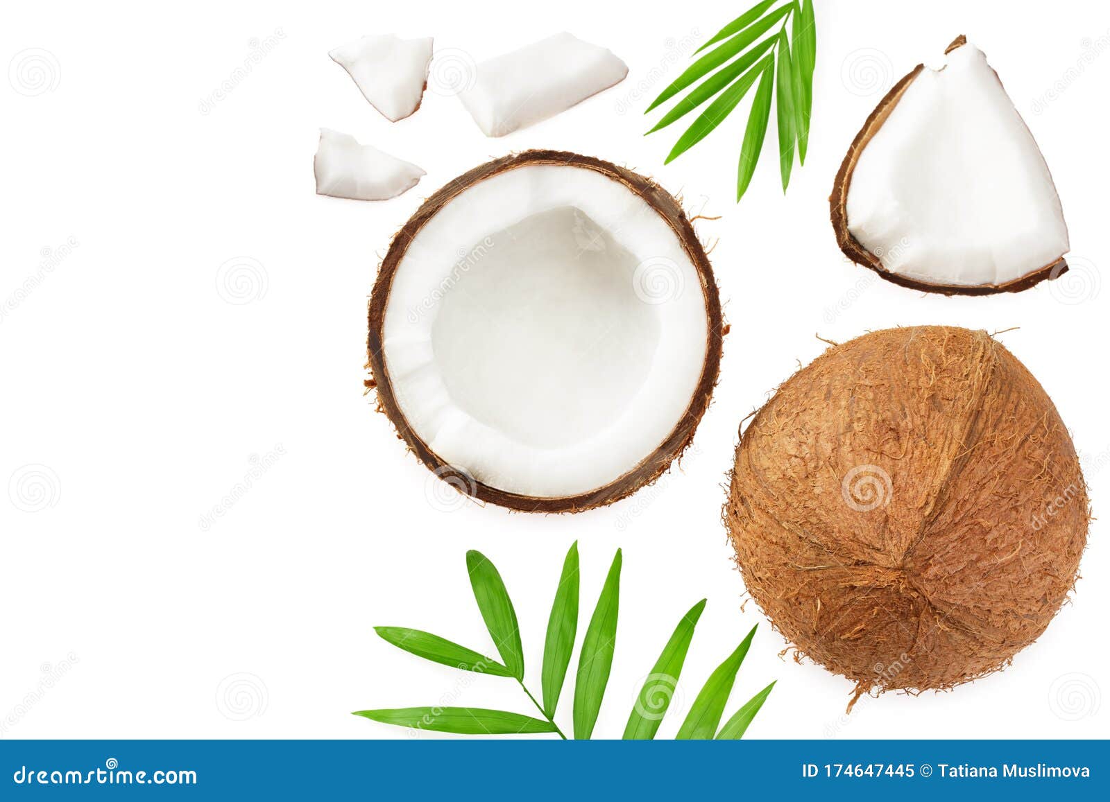 Half Coconut with Green Leaves Isolated on White Background Top View ...