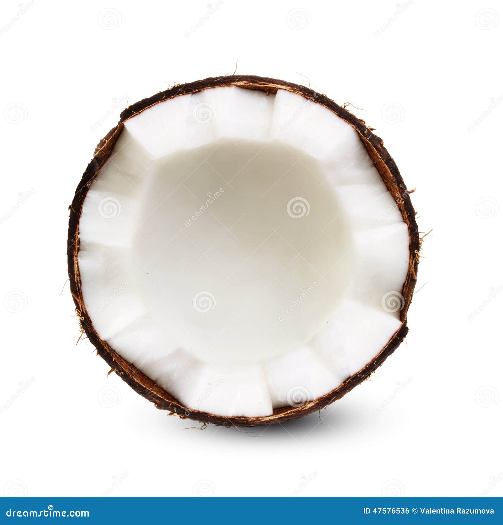 Half of coconut isolated stock photo. Image of fresh - 47576536