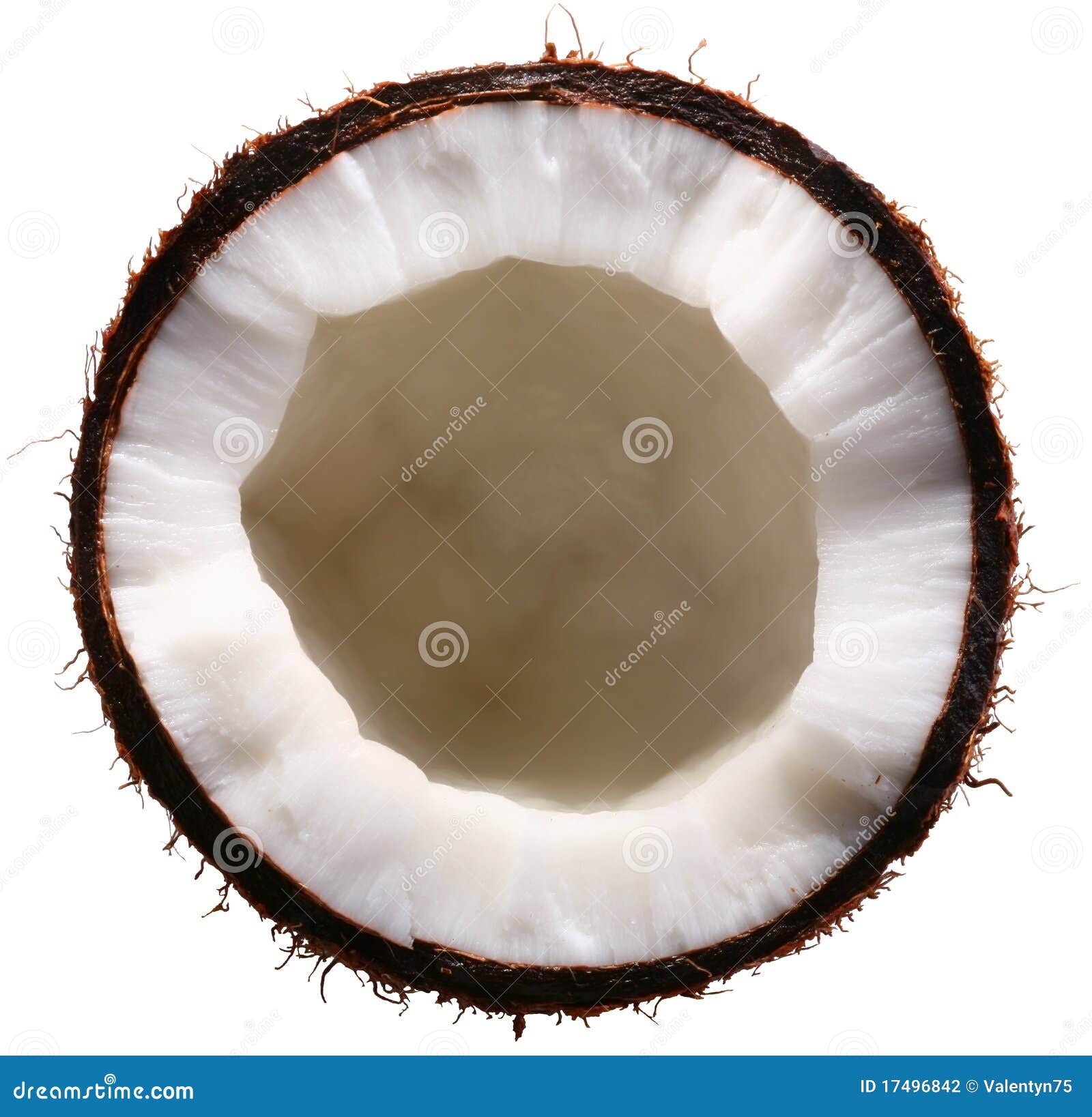 Half of the Coconut Isolated on a White. Stock Photo - Image of palm ...