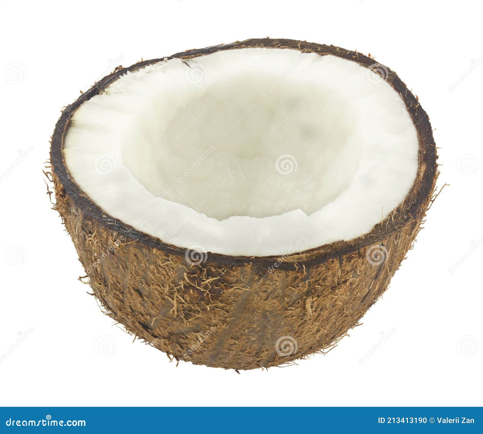 Half Coconut Isolated on a White Background Stock Photo - Image of ...