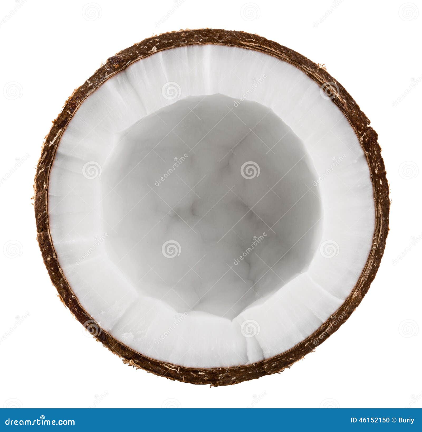 Half coconut stock photo. Image of nutrition, nature - 46152150