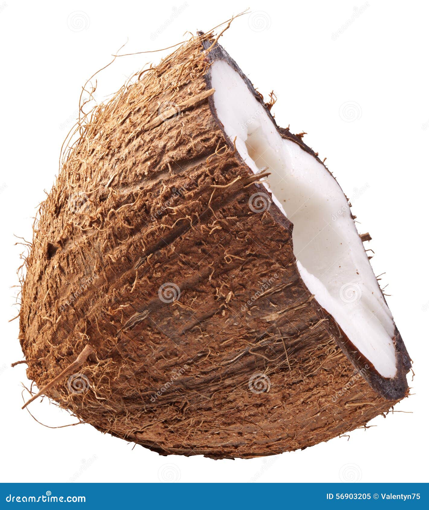 Half of coconut. stock image. Image of summer, tropical - 56903205