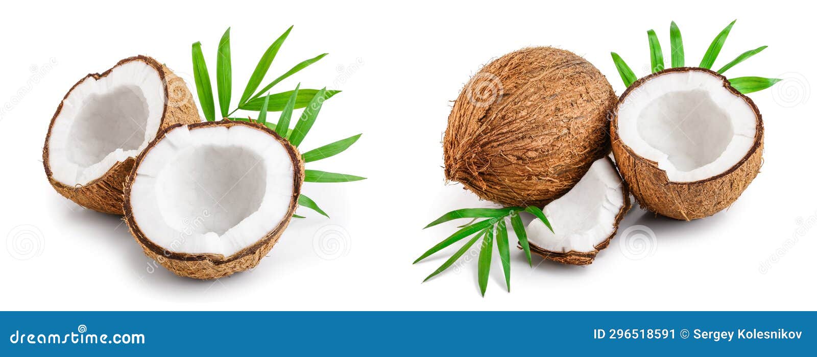 Half of Coconut with Leaves Isolated on White Background Stock Image ...