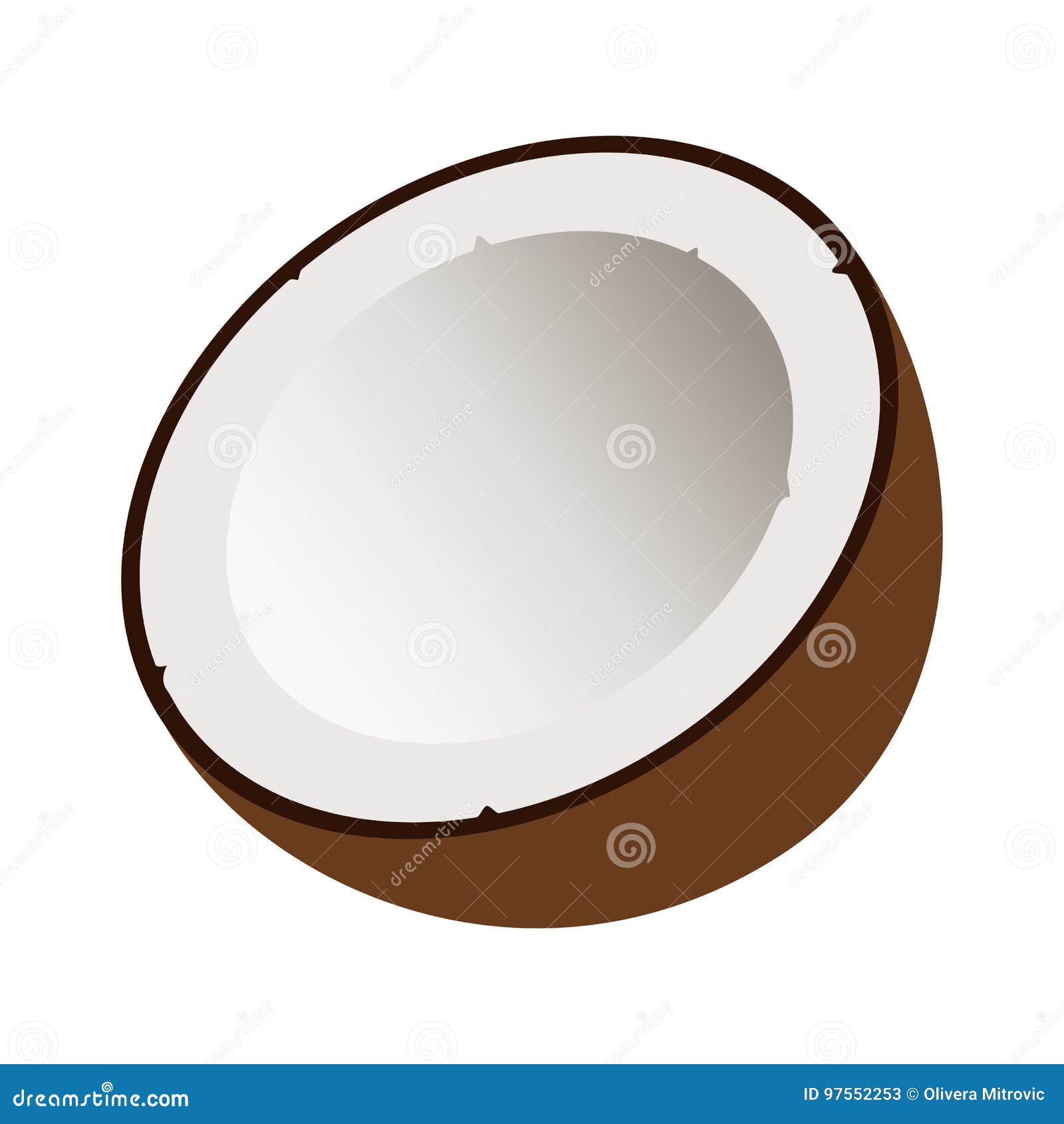 Half of Coconut with Shadow Stock Vector - Illustration of palm, food ...