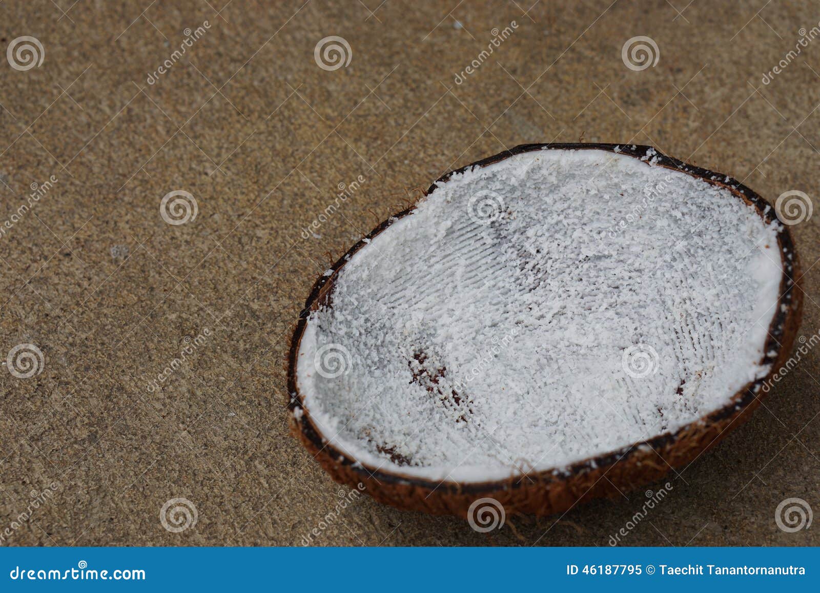 Half of Coconut Shell after Grated by Coconut Grater 2 Stock Image ...