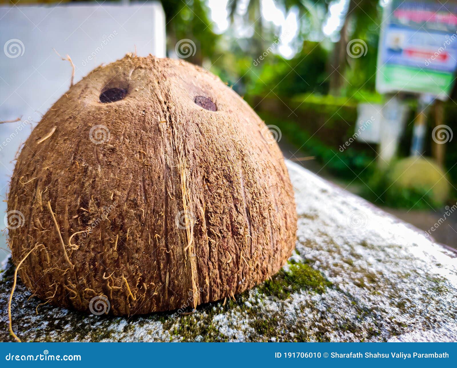 Half Coconut Shell on the Wall Close-up Stock Photo - Image of exotic ...