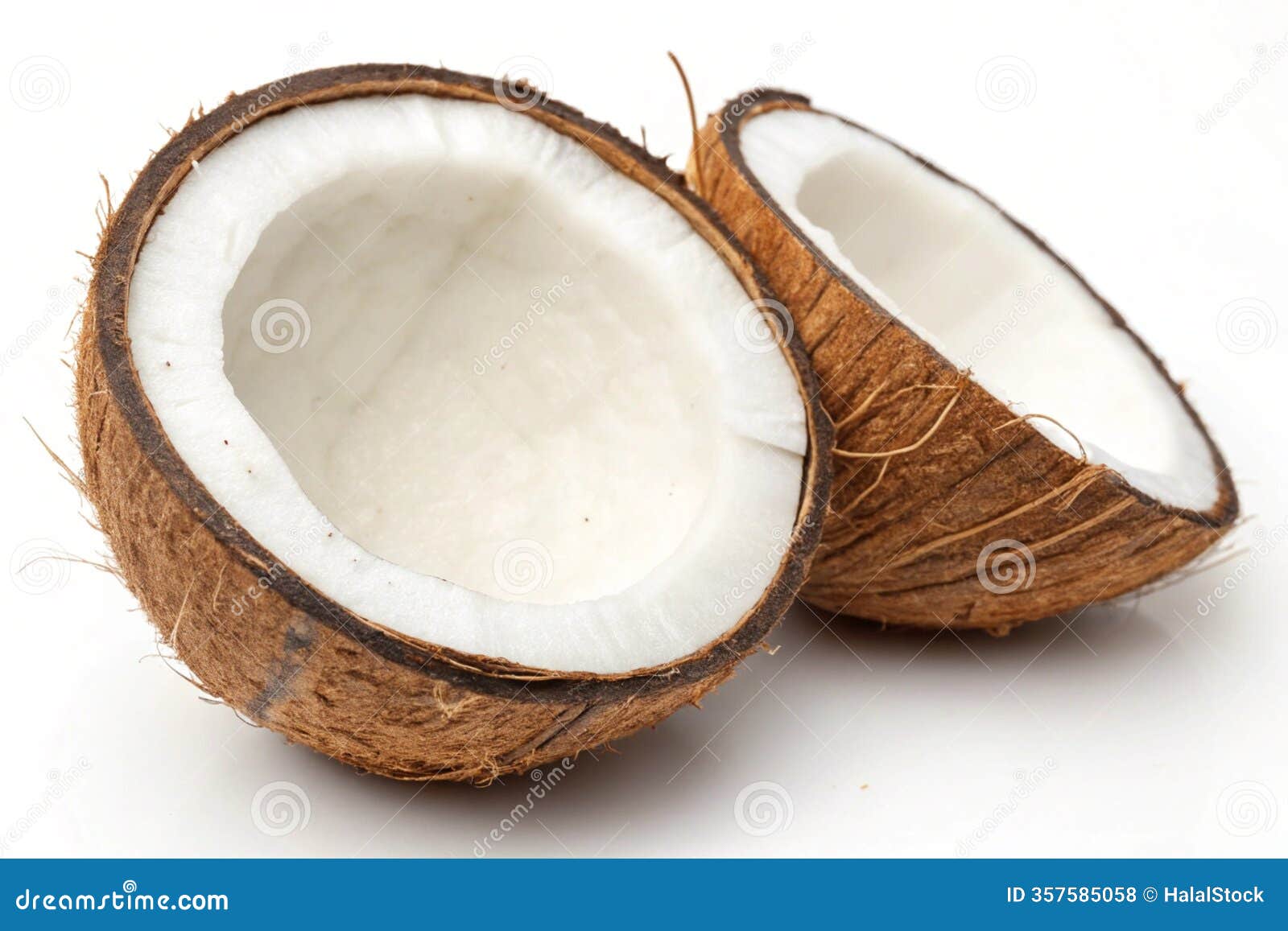 Half Coconut Shell on White Background Stock Illustration ...