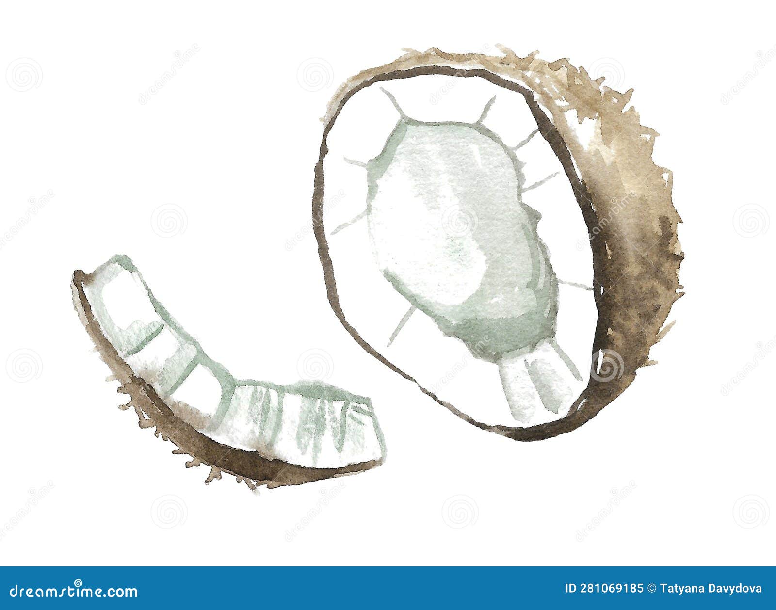 Half of a Coconut in Shell with White Flesh and with a Separate Piece ...