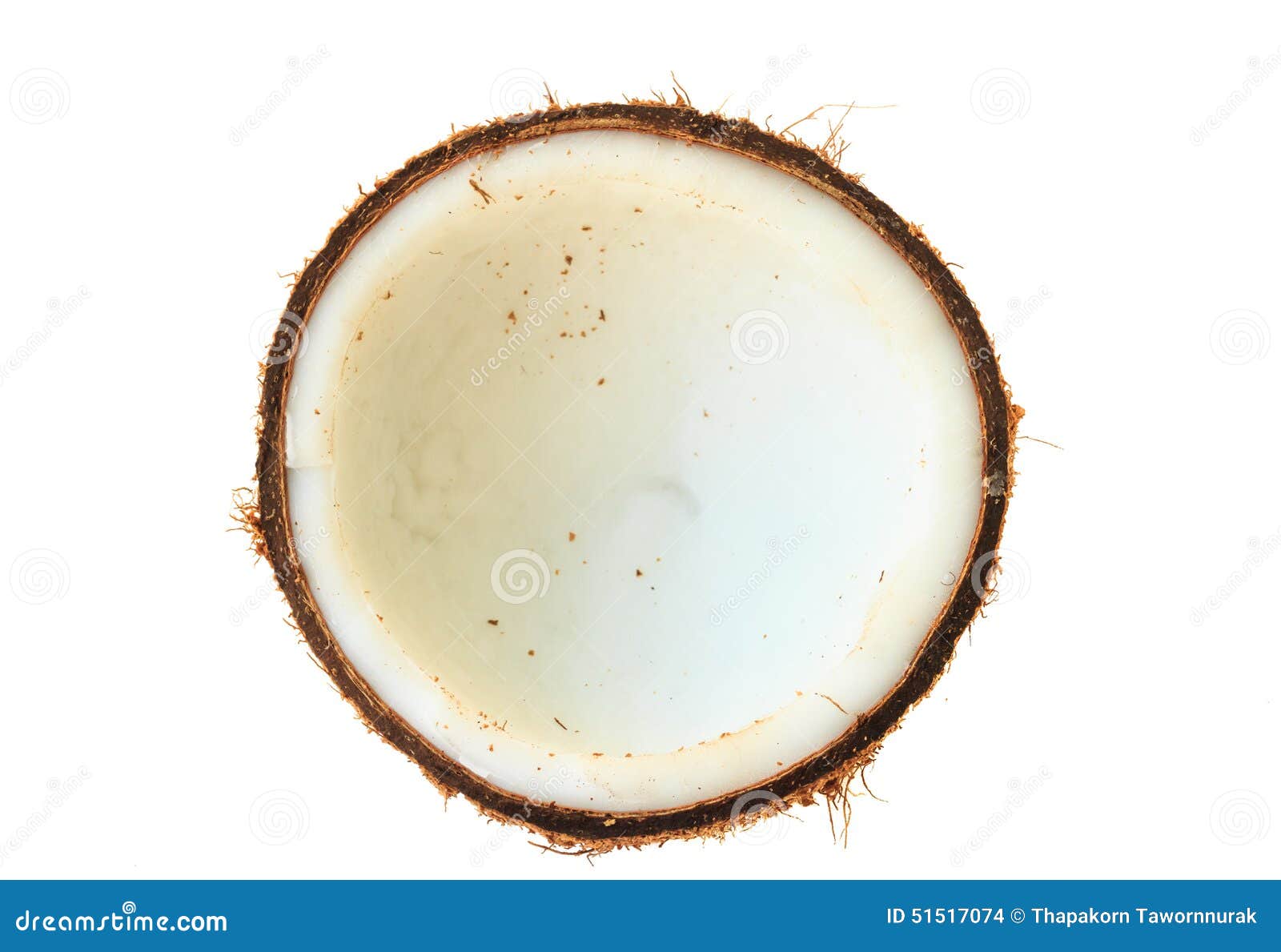 Half coconut top view stock photo. Image of shade, round - 51517074