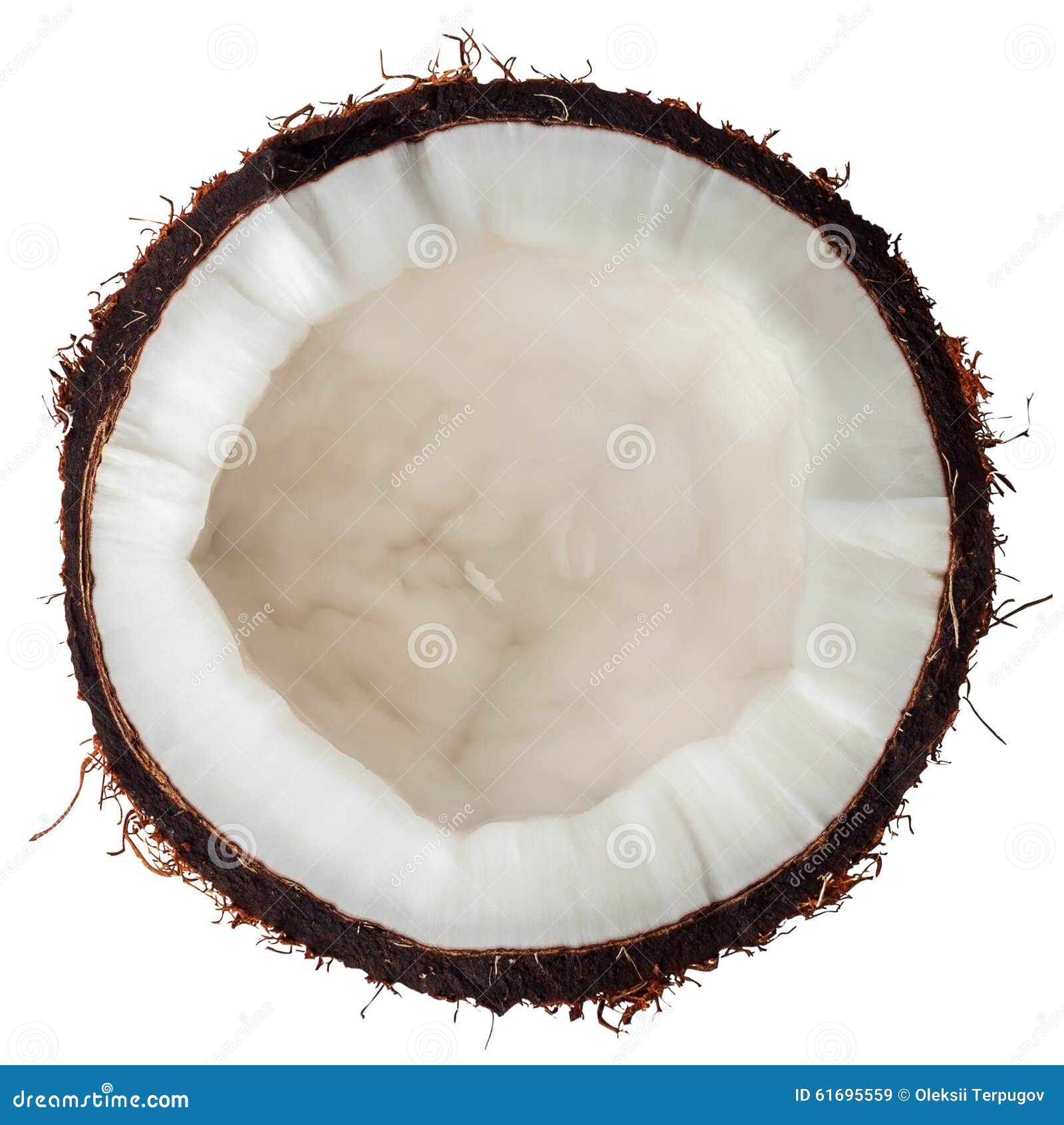 Half Coconut Top View Isolated on White Stock Image - Image of fruit ...