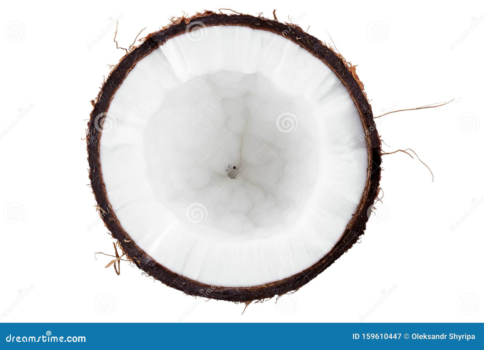 Half Coconut on a White Background Stock Image - Image of closeup ...