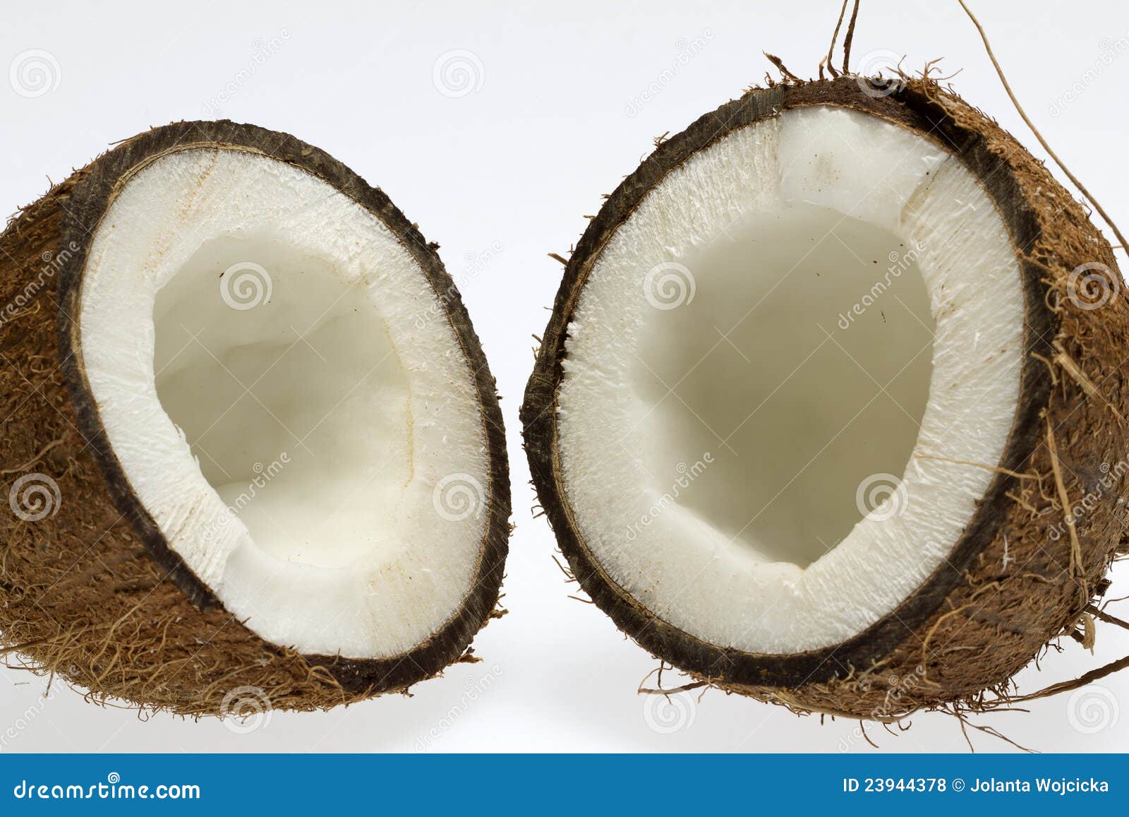 Half of Coconut with White Core Stock Photo - Image of tropical, core ...