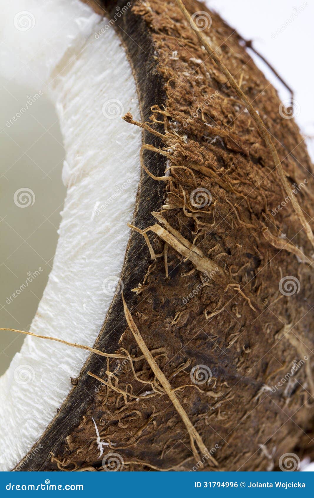 432 Coconut Core Stock Photos - Free & Royalty-Free Stock Photos from ...
