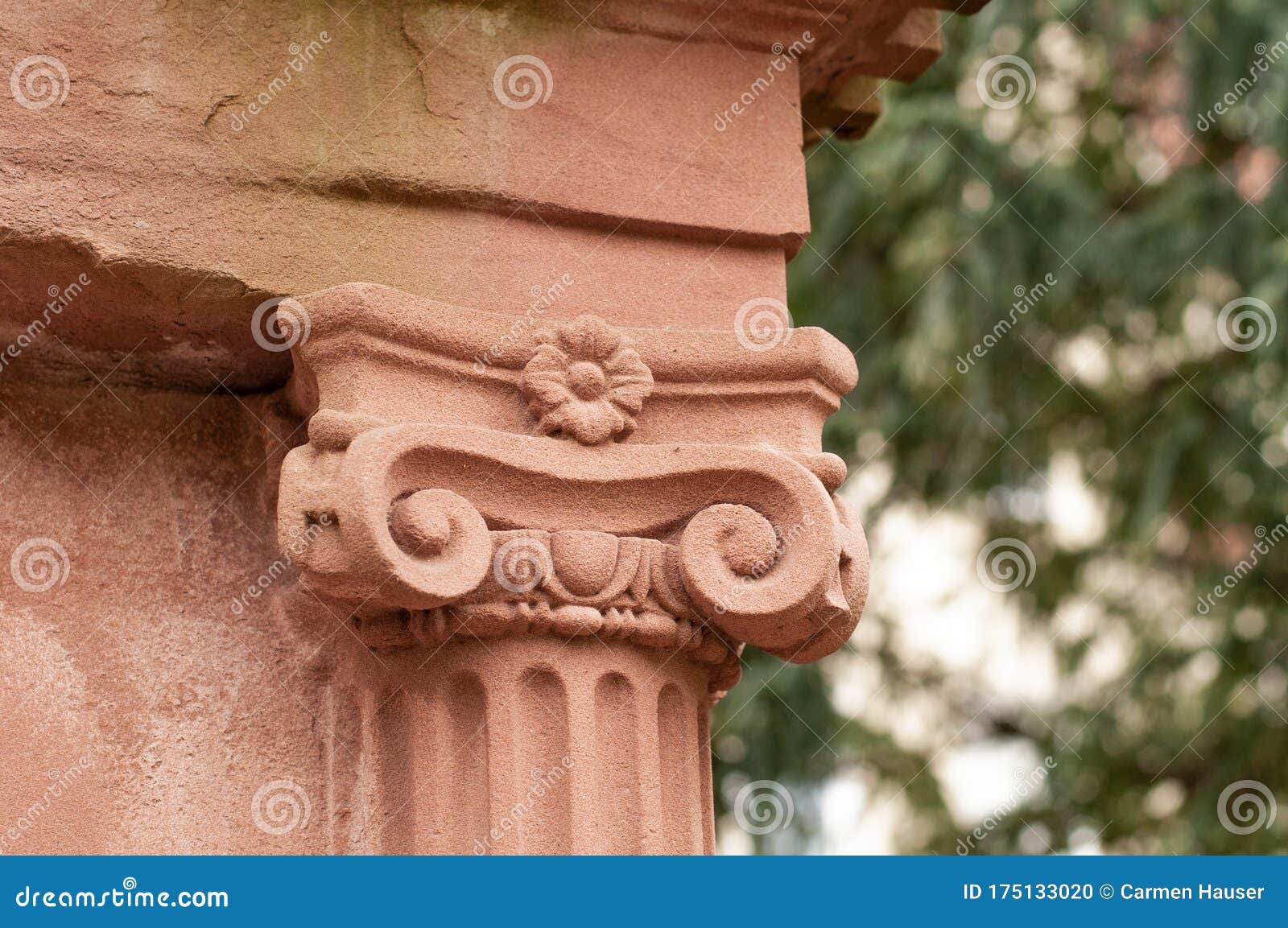 Half Column in Ionic Order in Pink Sandstone Stock Photo - Image of ...