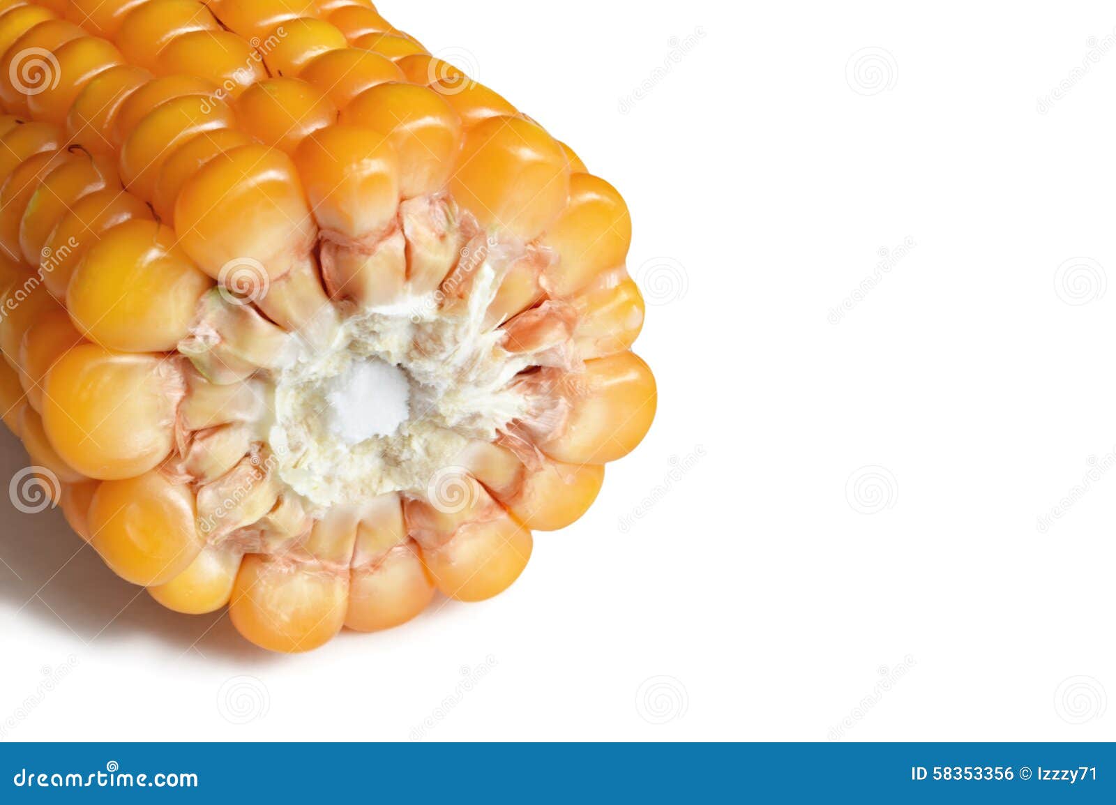 A Half of Corn Cob Isolated Stock Photo - Image of pile, fresh: 58353356