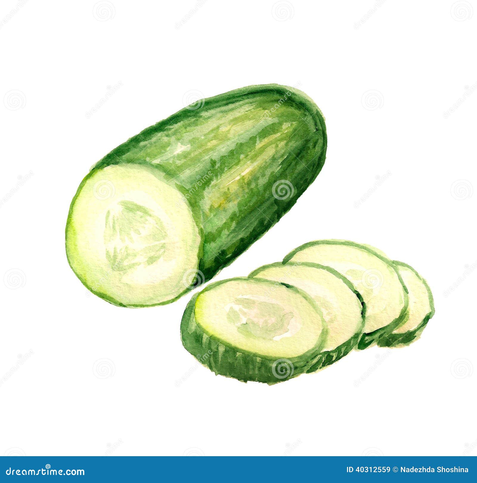 Half Cucumber Stock Illustrations – 2,057 Half Cucumber Stock ...